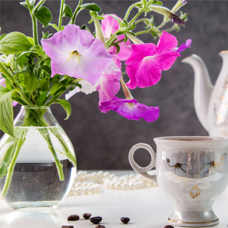 Cascading Petunias Seed Pod Kit