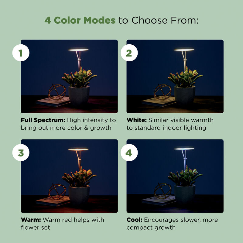Stem Grow Light | AeroGarden