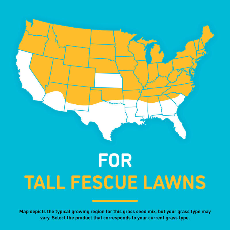 BarkYard™ Good Boy™ Tall Fescue