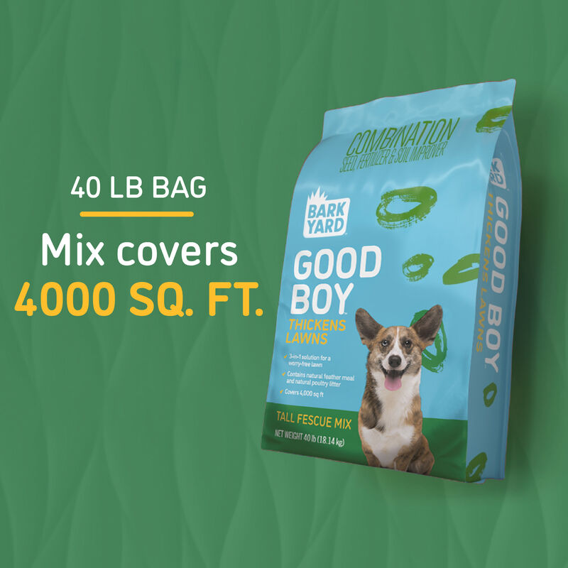BarkYard™ Good Boy™ Tall Fescue