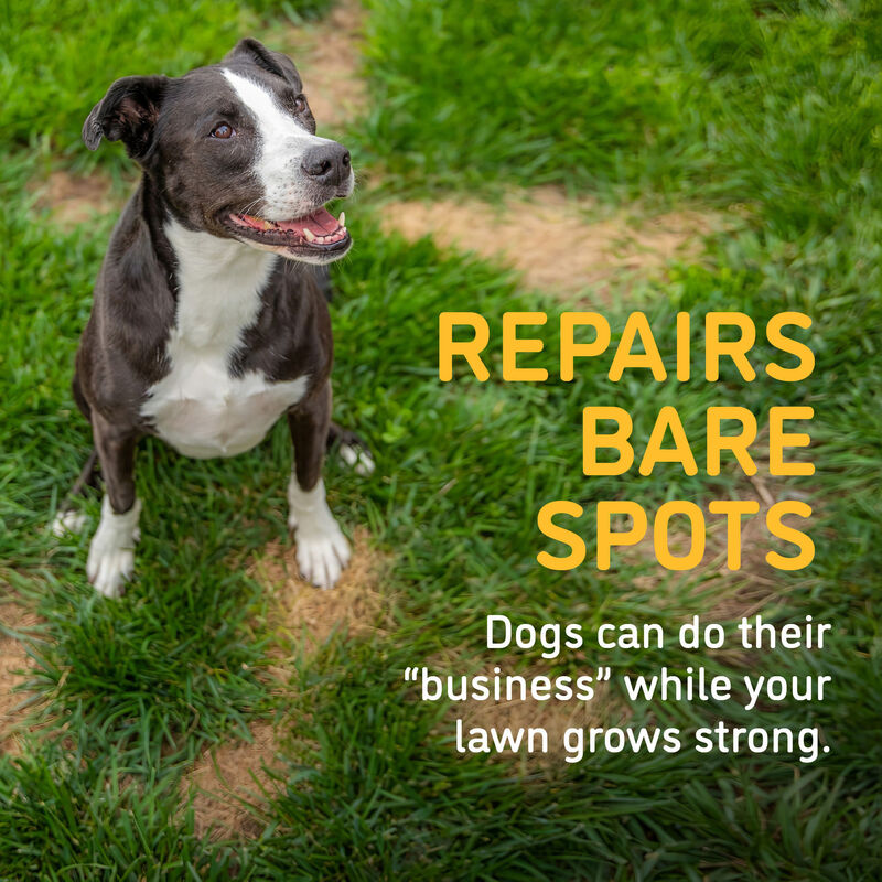 BarkYard™ Bad Spot!™ Sun & Shade