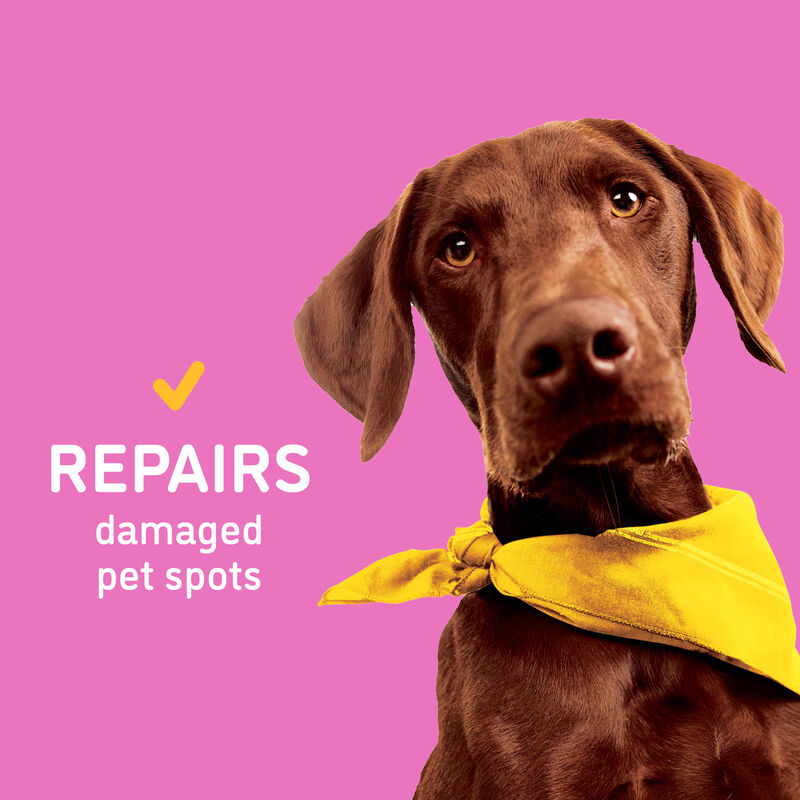 BarkYard™ Bad Spot!™ Sun & Shade