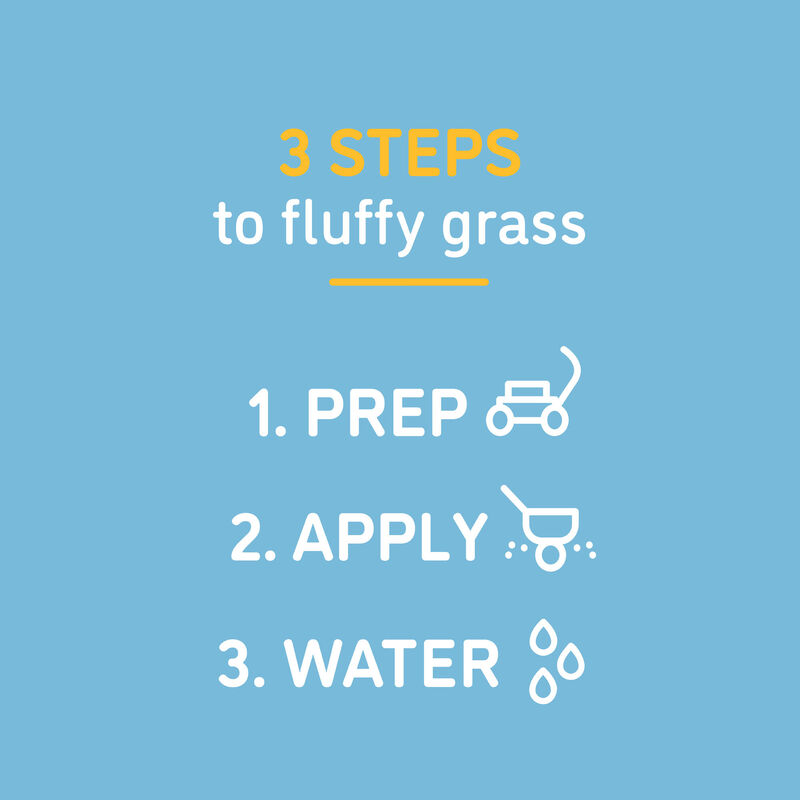 BarkYard™ Good Boy™ Tall Fescue