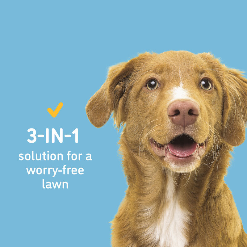 BarkYard™ Good Boy™ Tall Fescue